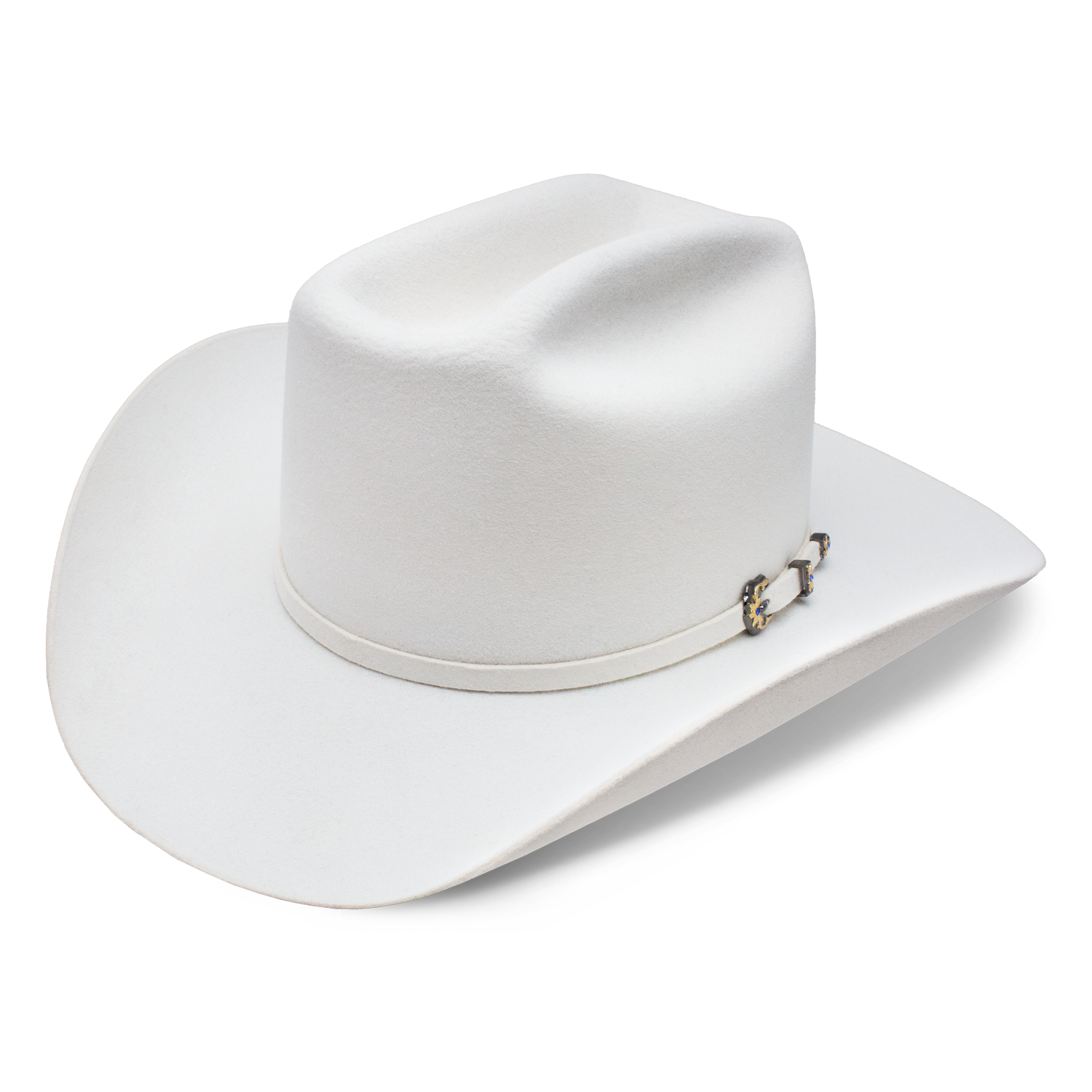 Lainey Wilson X Charlie 1 Horse